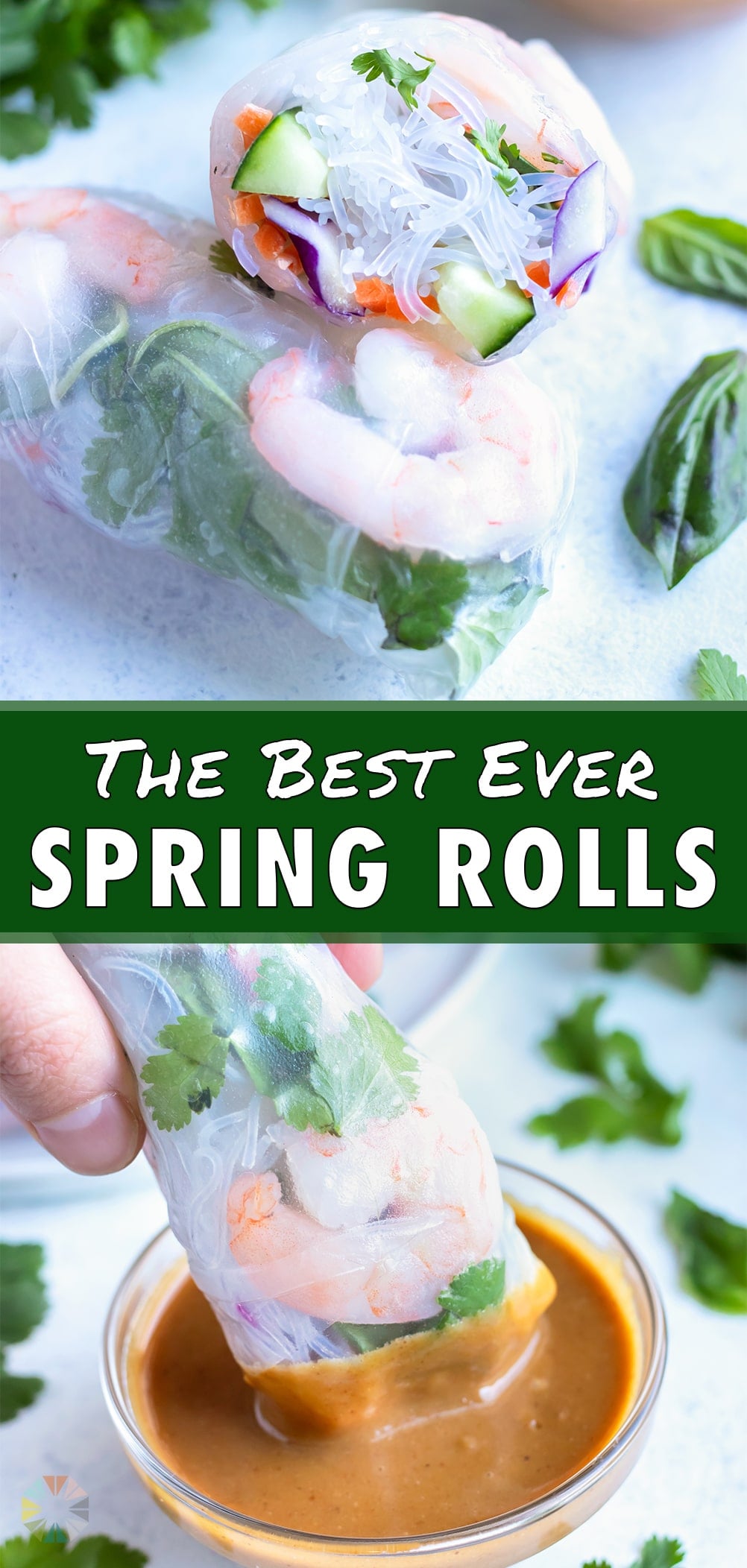 Vietnamese Fresh Spring Rolls Recipe - Evolving Table