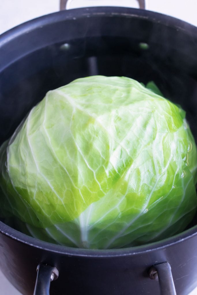 Classic Stuffed Cabbage Rolls Recipe - Evolving Table