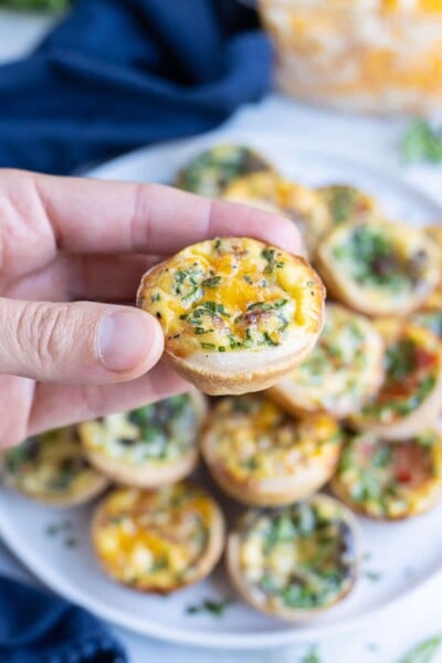 Mini Quiche Recipe (Any Flavor!) - Evolving Table
