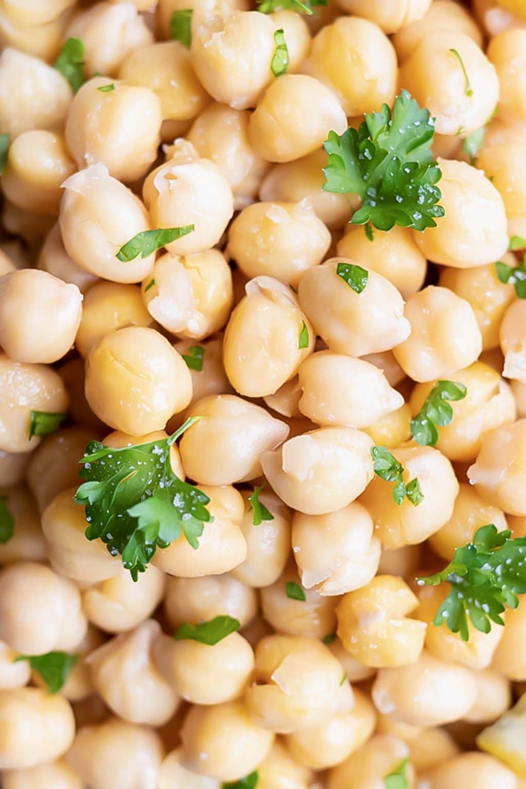 How to Cook Chickpeas (Garbanzo Beans) - Evolving Table