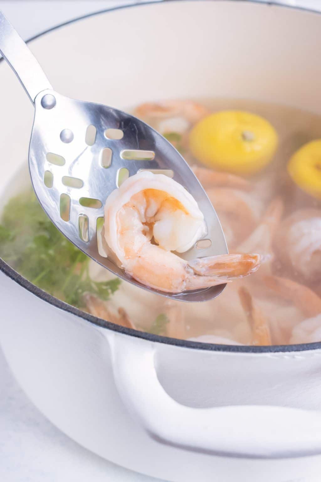 Best Ever Shrimp Cocktail Recipe - Evolving Table