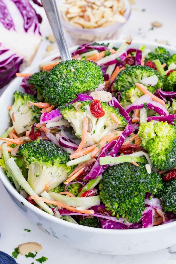 Best Broccoli Slaw Recipe - Evolving Table