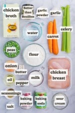 Best Chicken Dumpling Soup Recipe - Evolving Table