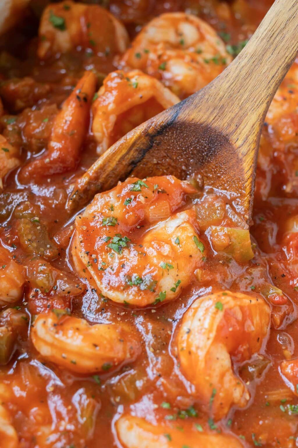 Shrimp Creole (Authentic Louisiana Recipe) - Evolving Table