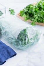 How to Store Cilantro (Whole or Chopped) - Evolving Table
