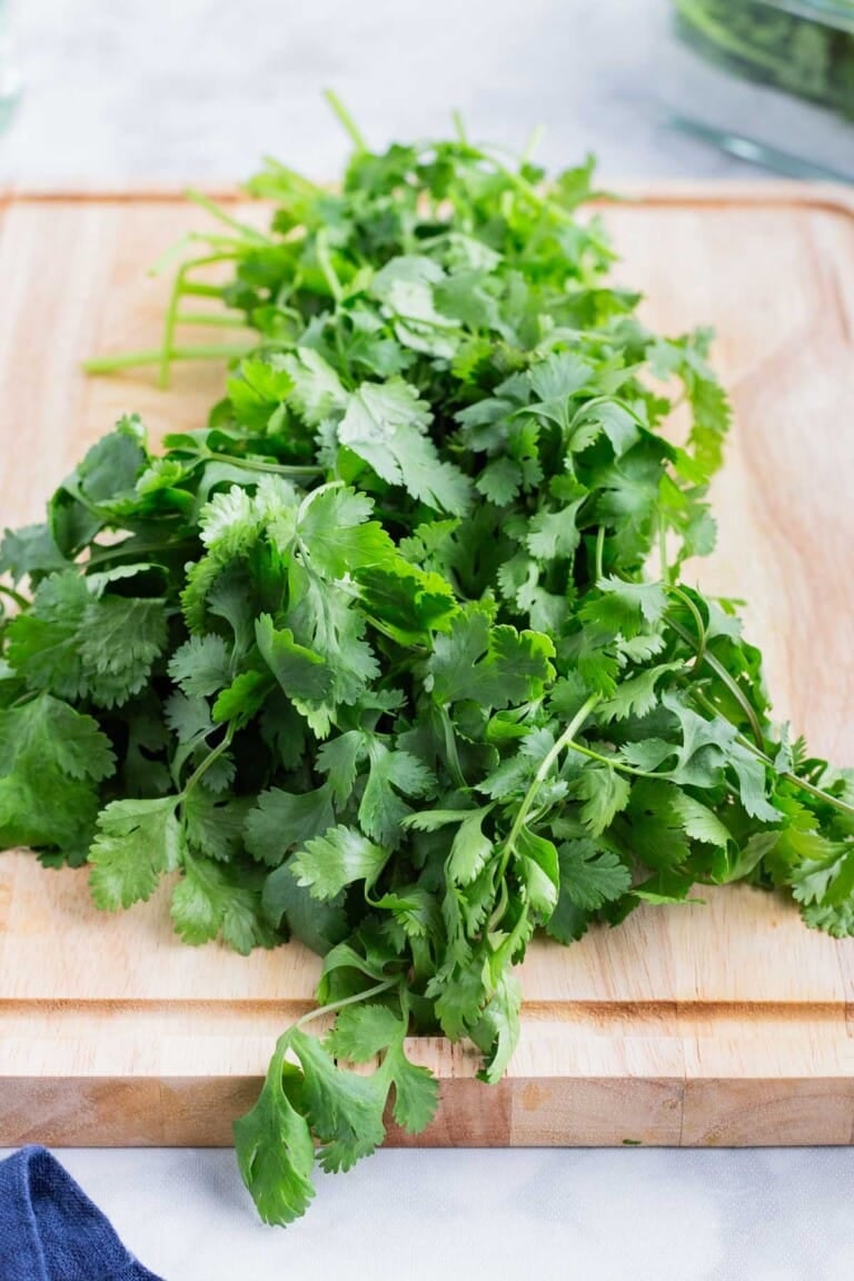 How to Store Cilantro (Whole or Chopped) - Evolving Table