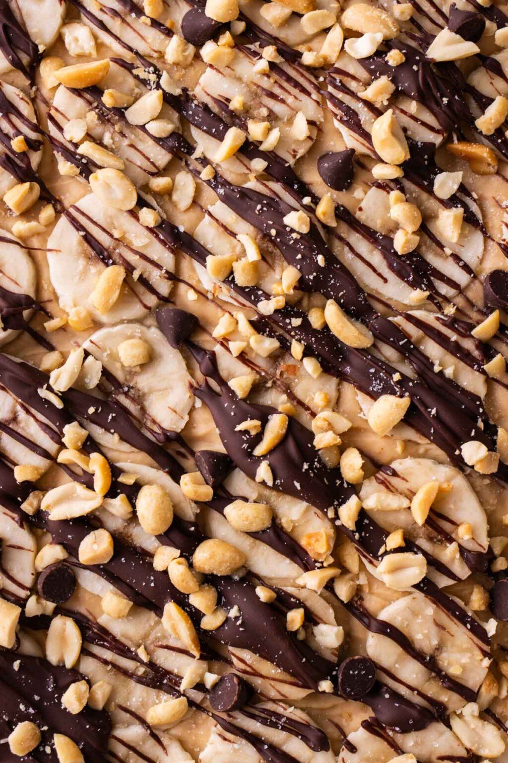 Chunky Monkey Frozen Yogurt Bark - Evolving Table